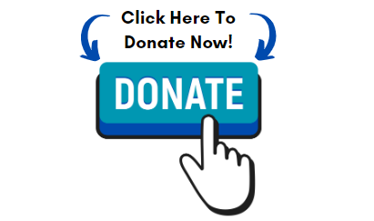 Network For Good Donatenow